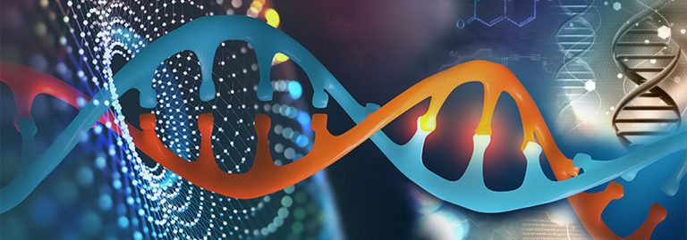 Centre for Genetics & Genomics | FOM