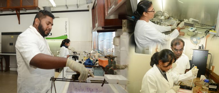 Department of Medical Microbiology and Immunology – Staff | FOM