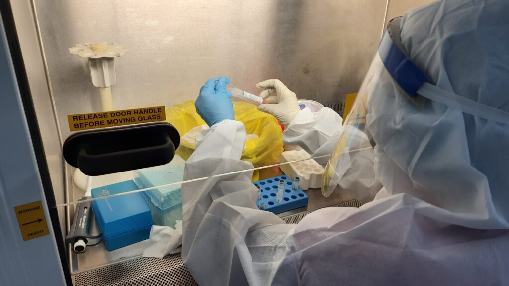 Department of Medical Microbiology and Immunology – Services | FOM