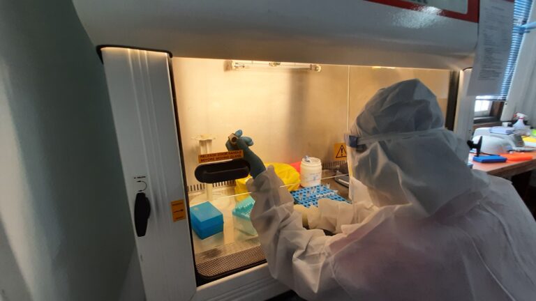 Department of Medical Microbiology and Immunology – Services | FOM